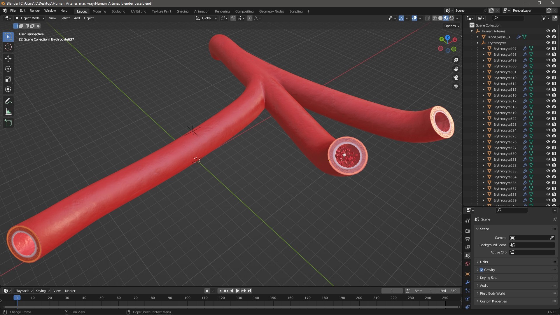 3D Human Arteries Model - TurboSquid 2330105