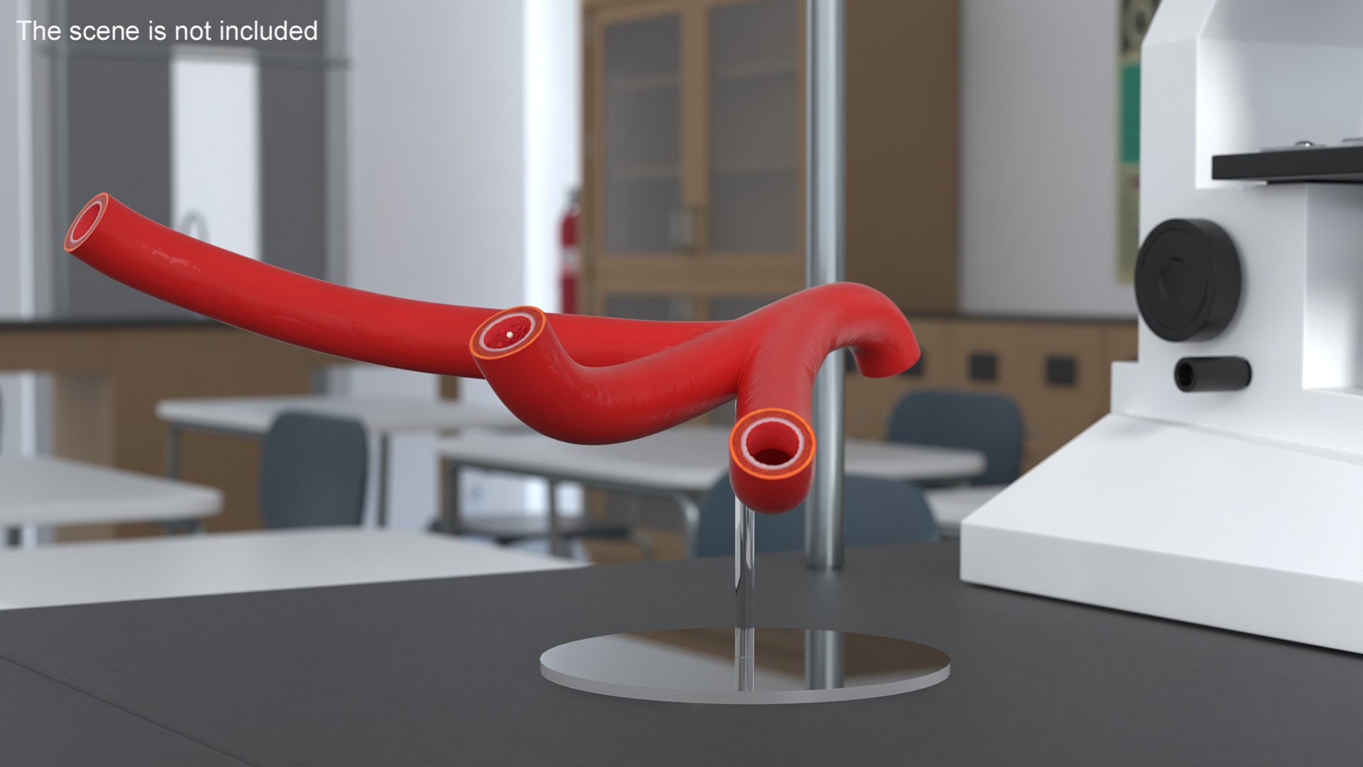 3D Human Arteries Model - TurboSquid 2330105