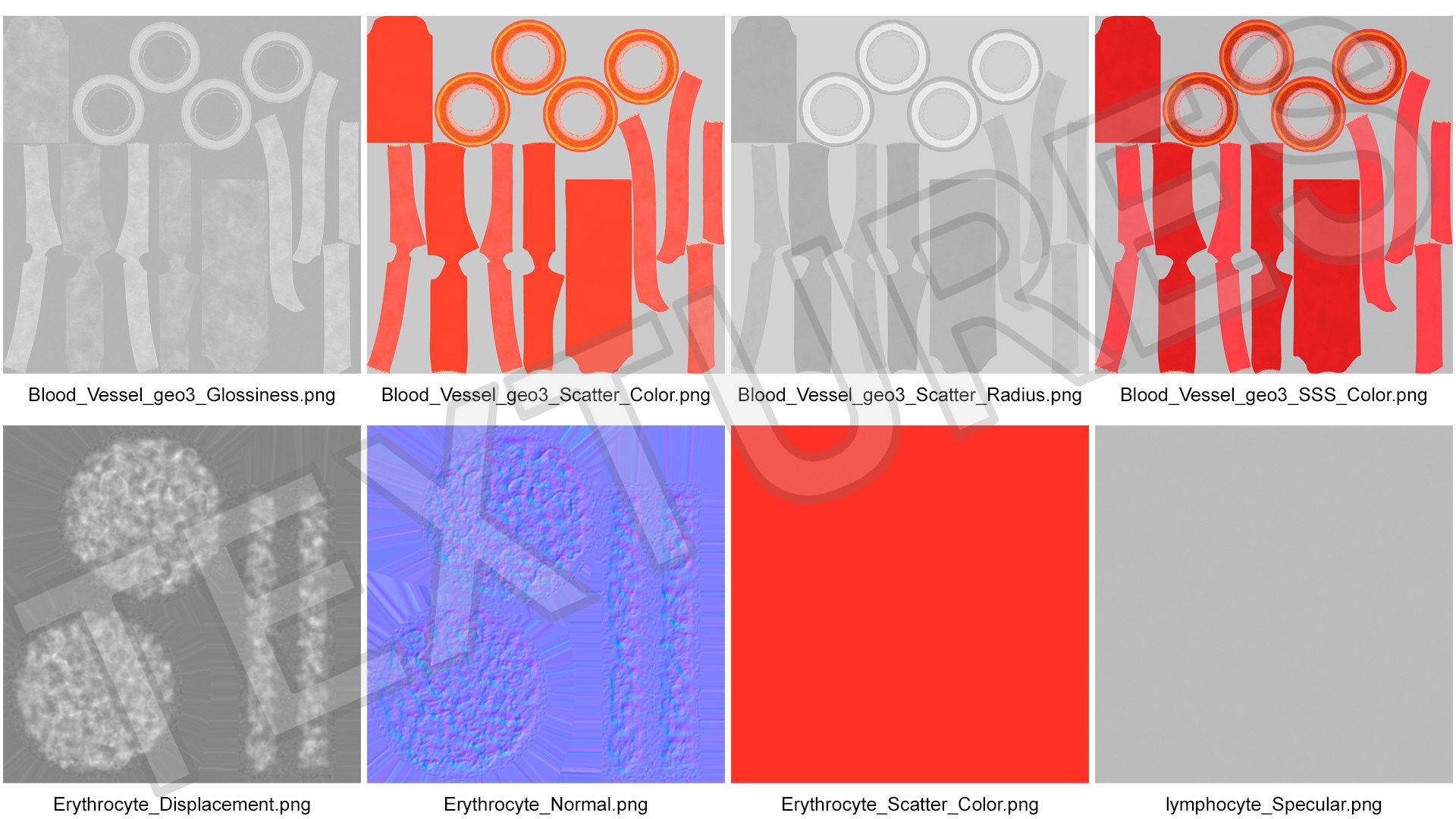3D Human Arteries Model - TurboSquid 2330105