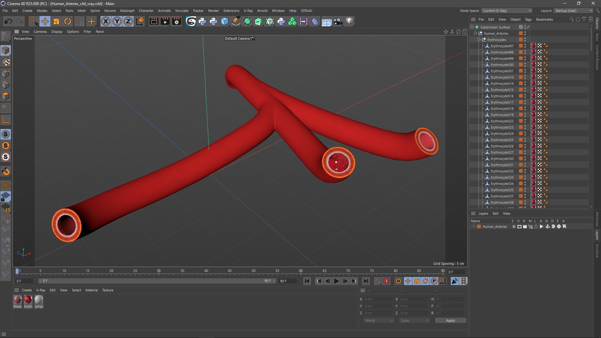 3D Human Arteries Model - TurboSquid 2330105