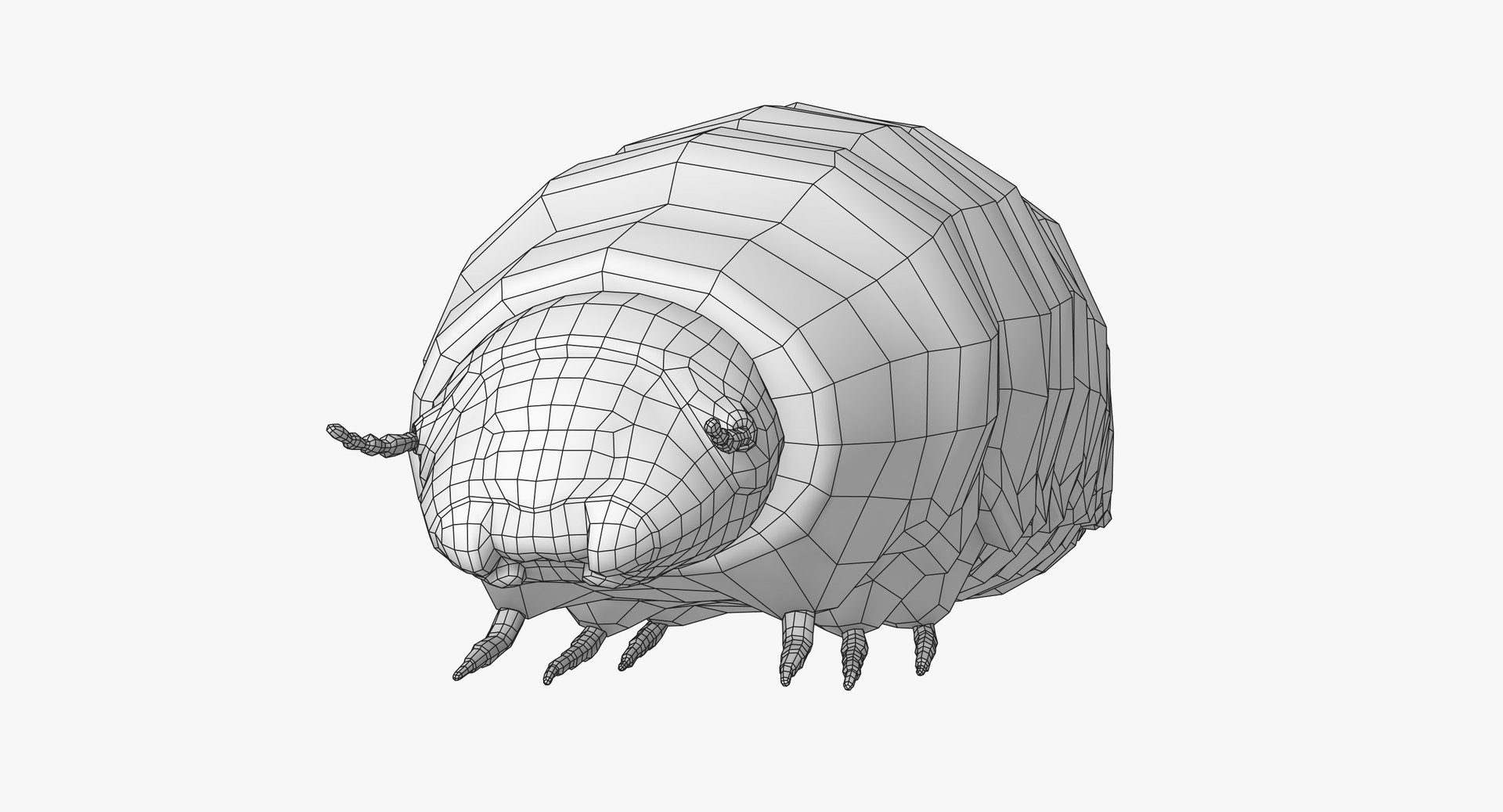 3D Model Realistic Maggot - TurboSquid 1506111