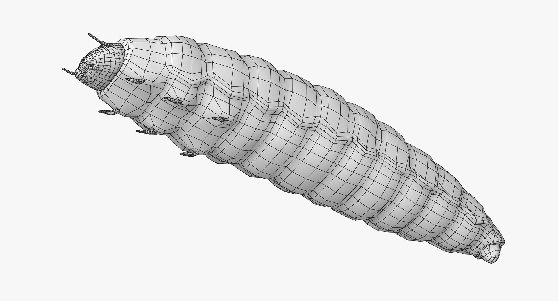 3D Model Realistic Maggot - TurboSquid 1506111