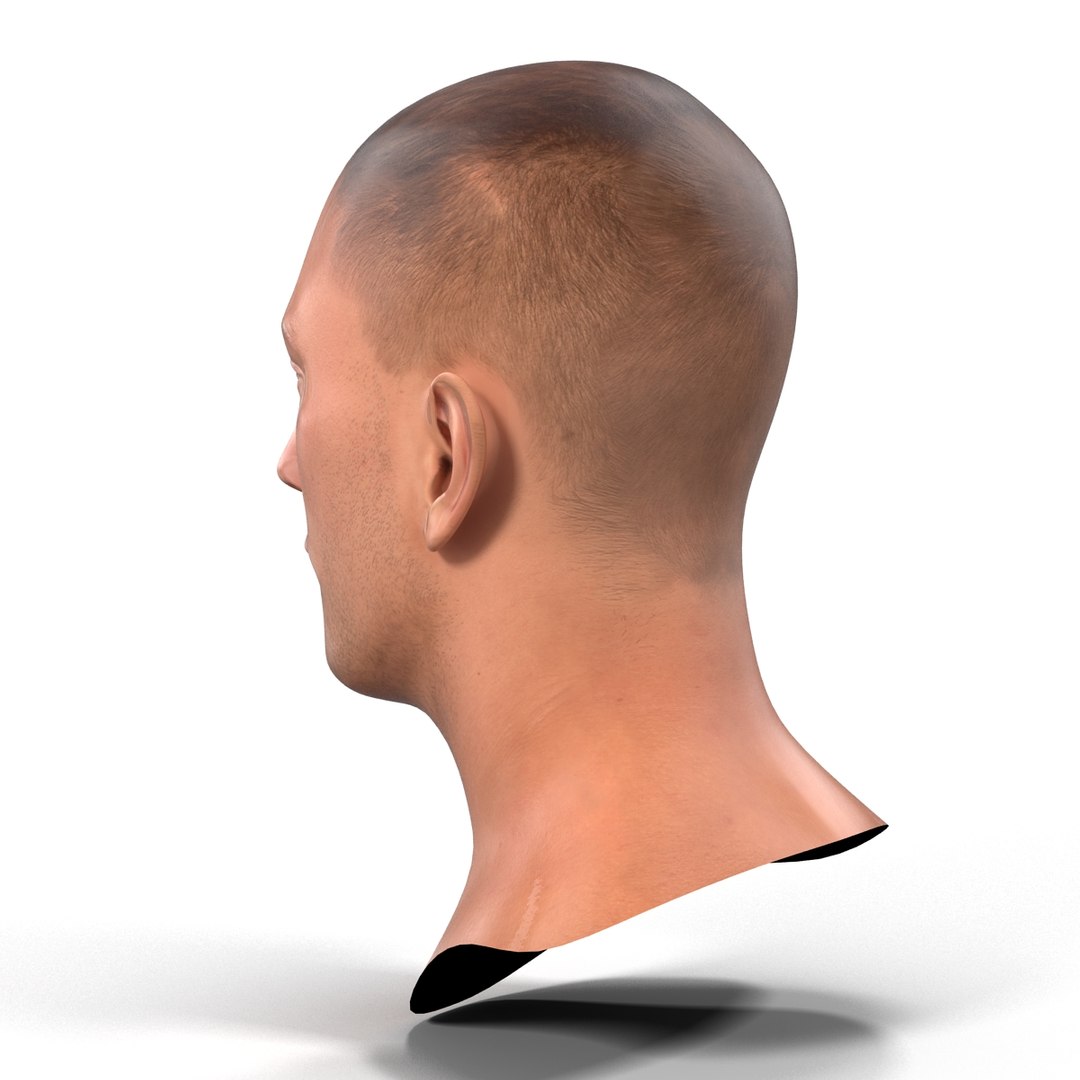 caucasian male head rigged 3d max