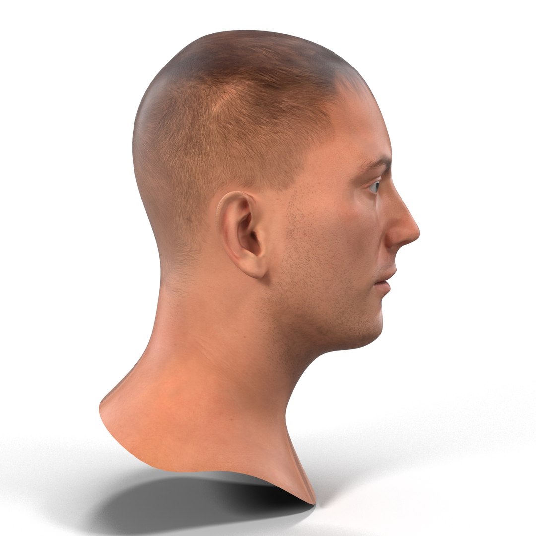 caucasian male head rigged 3d max