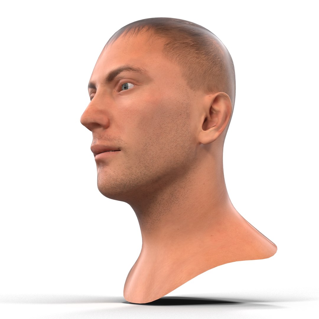 caucasian male head rigged 3d max