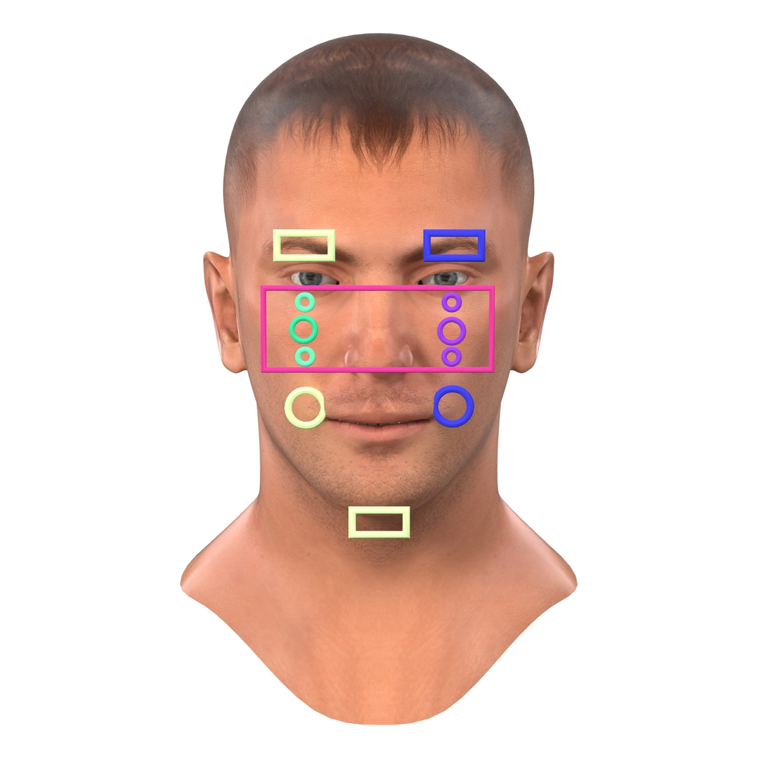 caucasian male head rigged 3d max
