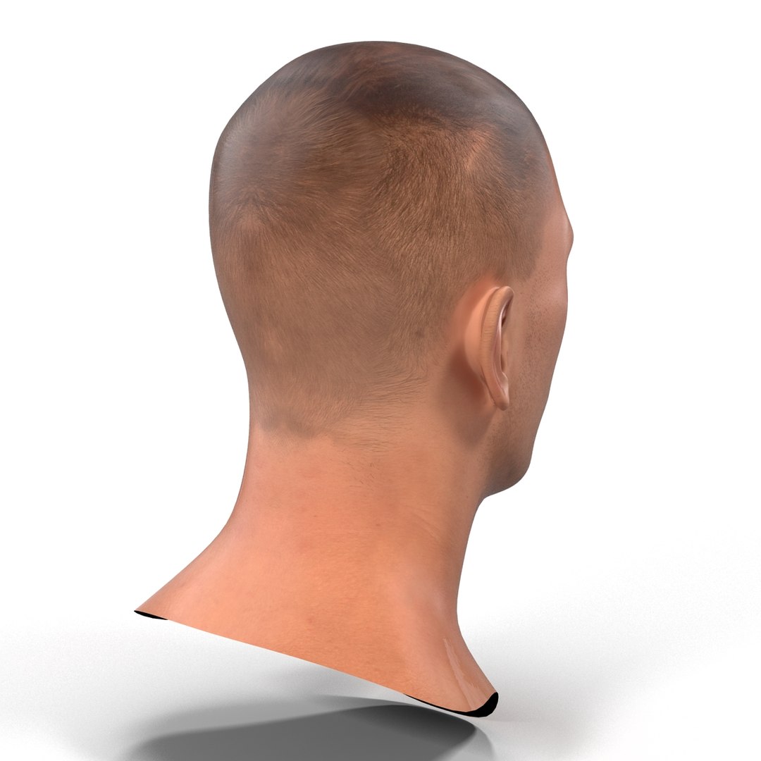 caucasian male head rigged 3d max