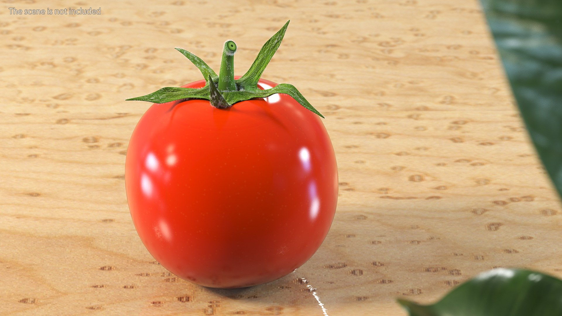 3D Model Red Cherry Tomato Fur - TurboSquid 1832914