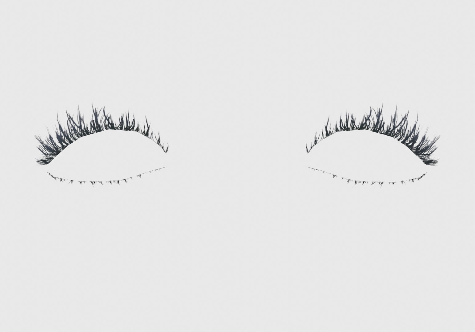 Basic Long Eyelashes 3D Model - TurboSquid 1959321