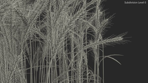 Section wheat field 3D model - TurboSquid 1572937