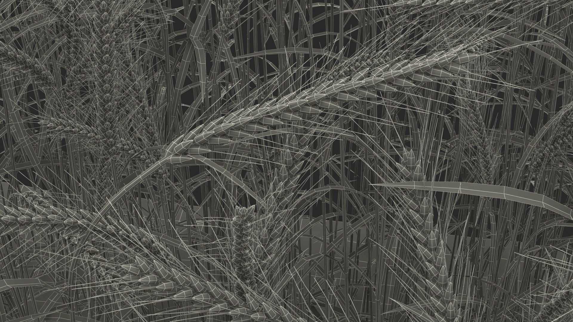 Section Wheat Field 3D Model - TurboSquid 1572937