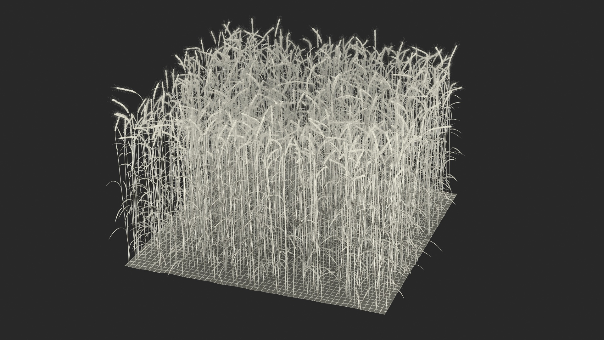 Section Wheat Field 3D Model - TurboSquid 1572937
