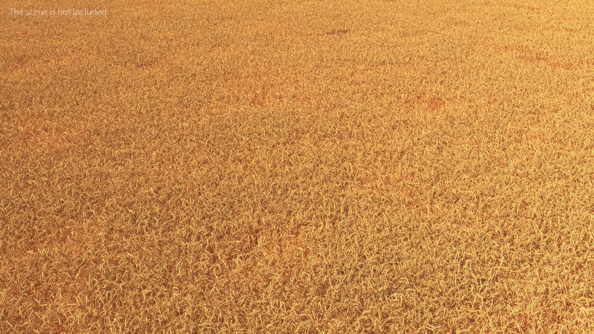 Section Wheat Field 3D Model - TurboSquid 1572937