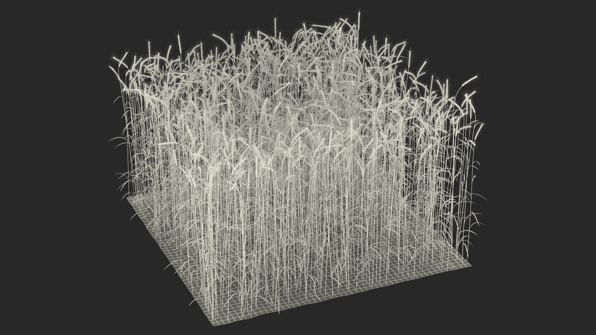 Section Wheat Field 3D Model - TurboSquid 1572937
