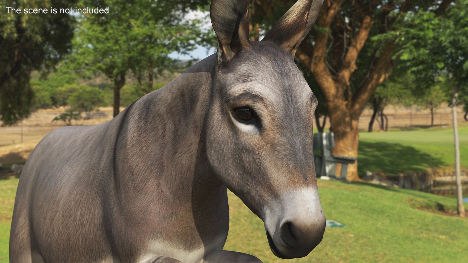 Mid-Jump Draft Donkey 3D Model - TurboSquid 2421870