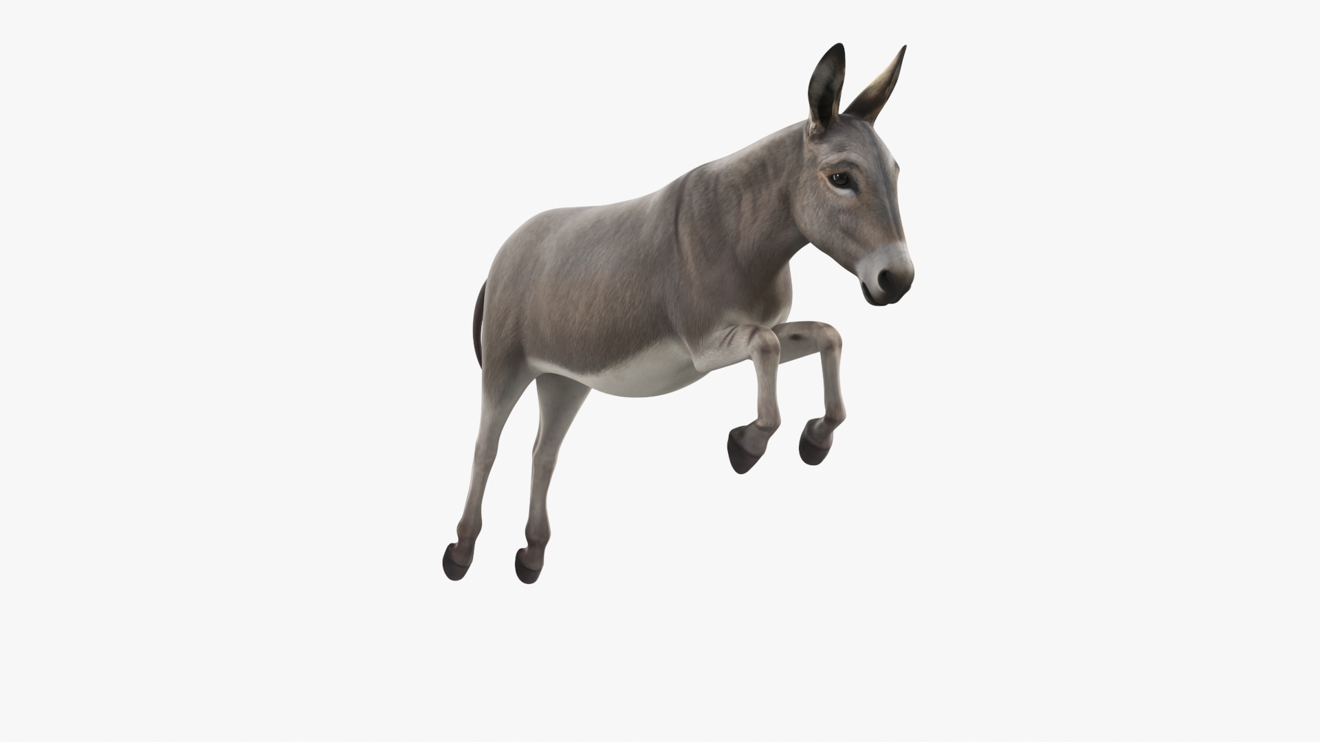 Mid-Jump Draft Donkey 3D Model - TurboSquid 2421870