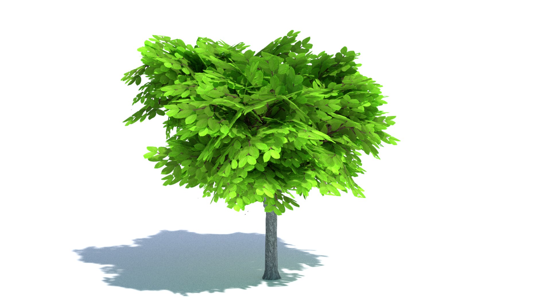 cartoon elm tree 3ds