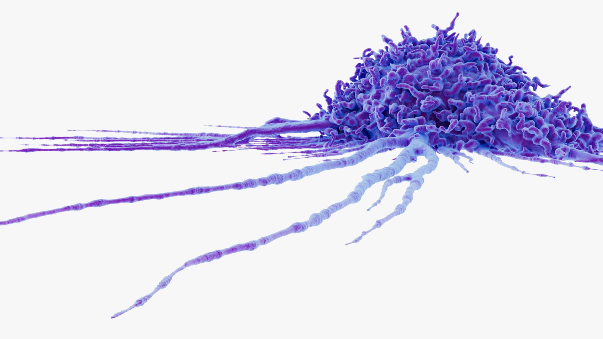 3D Tumor Cell Model - TurboSquid 2237441