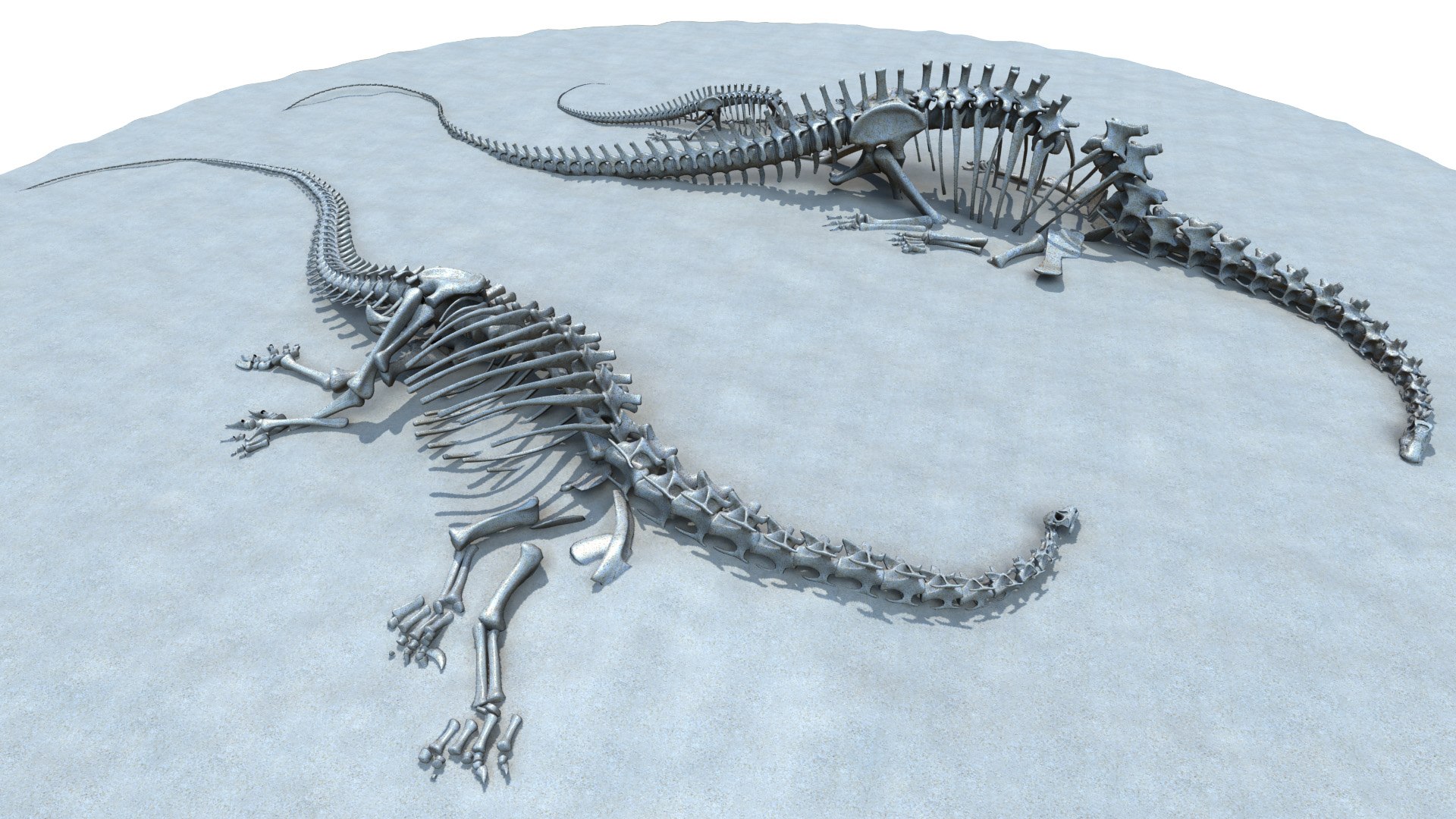 Diplodocus skeleton model - TurboSquid 1299043