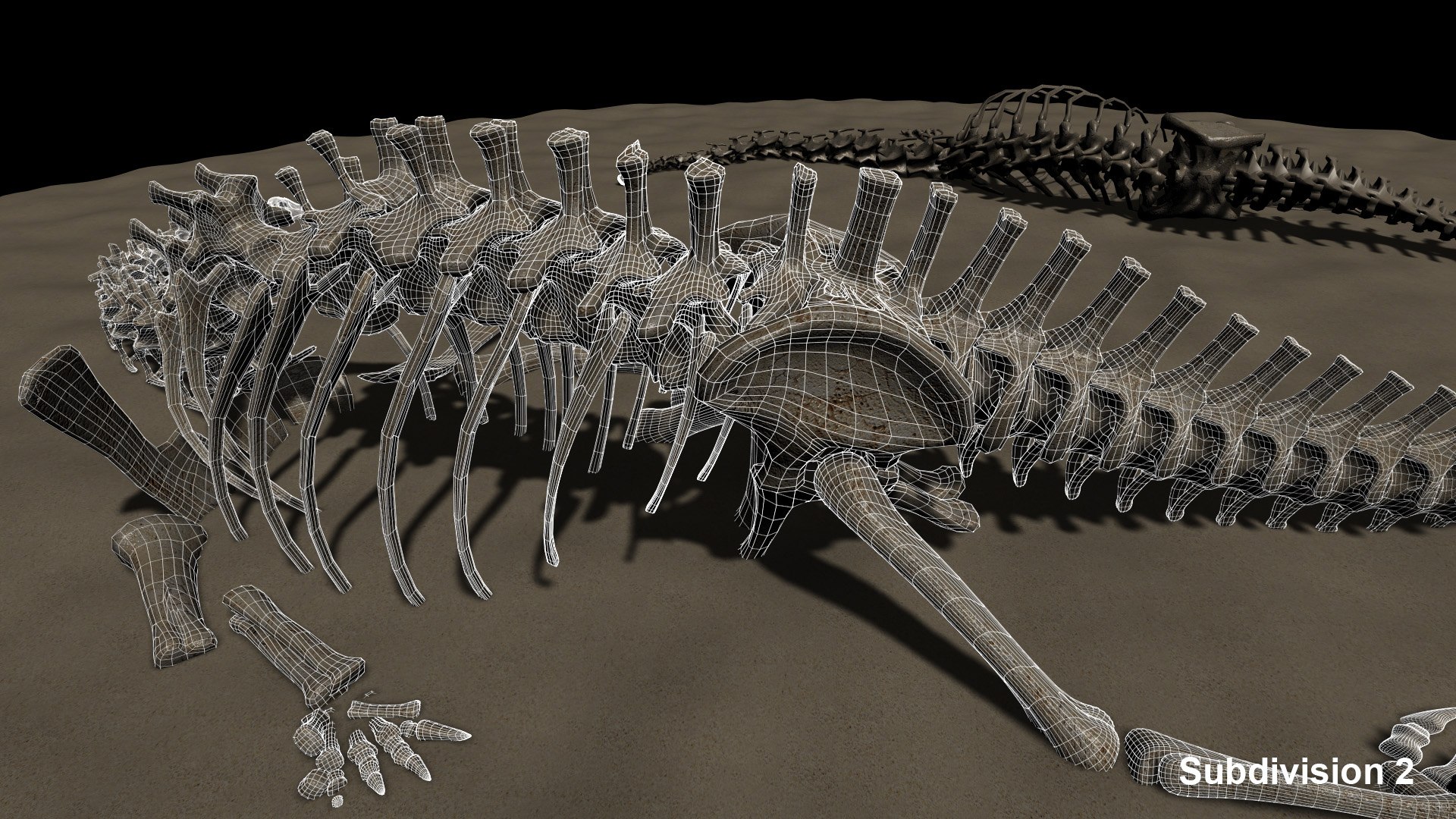 Diplodocus skeleton model - TurboSquid 1299043