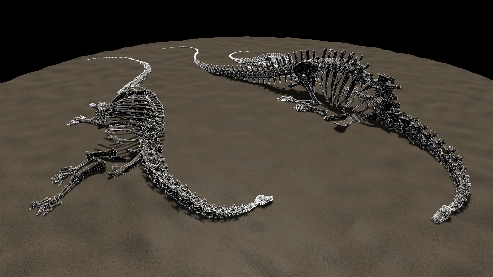 Diplodocus skeleton model - TurboSquid 1299043