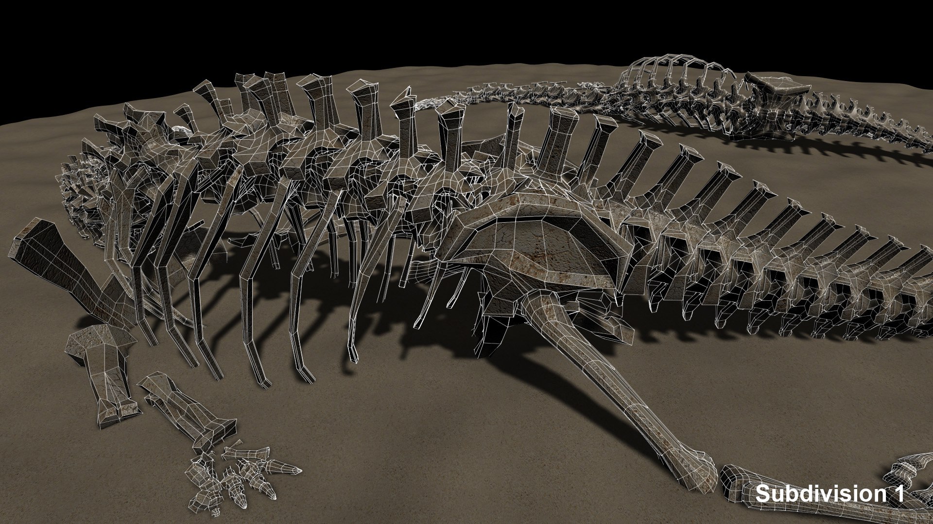 Diplodocus skeleton model - TurboSquid 1299043