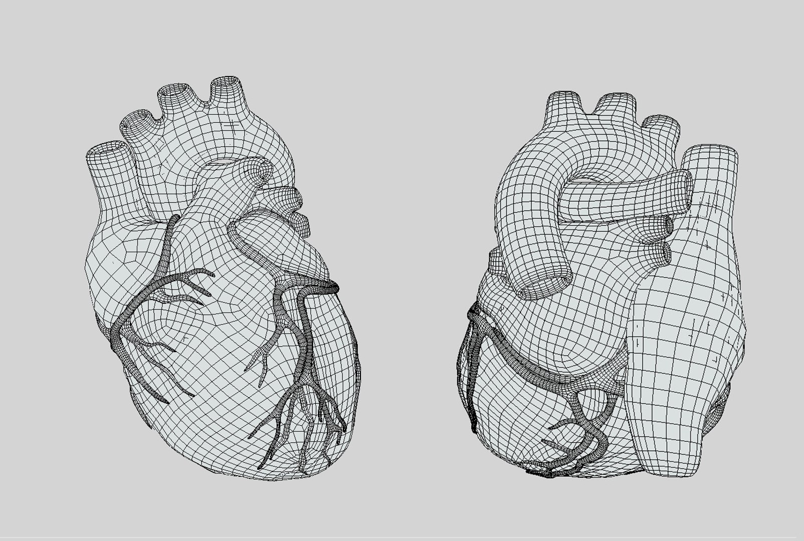 Human Heart 3D - TurboSquid 1363631