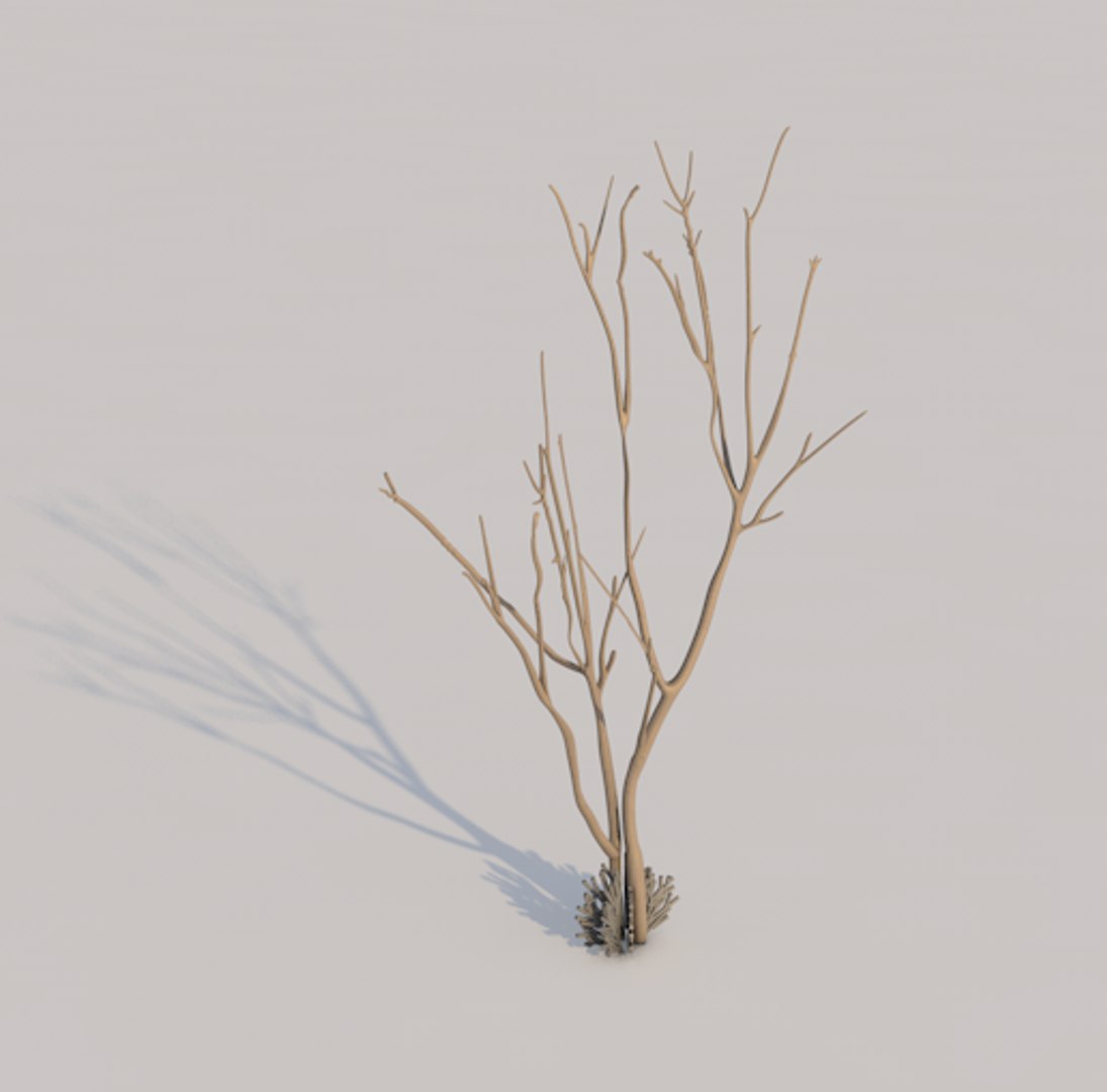 Tree Branch 3d Model