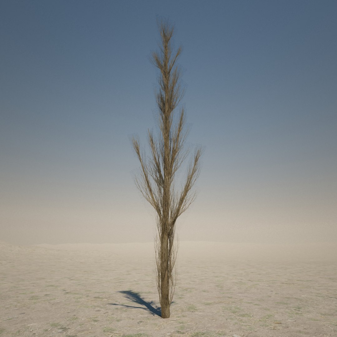 dead cypress tree max