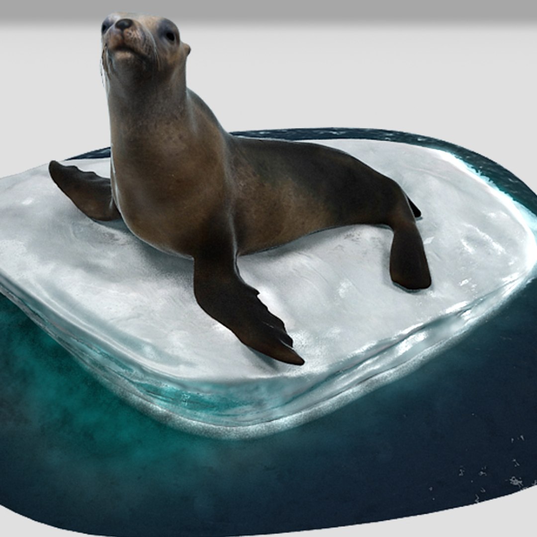 3d Max Seal Scene Ice