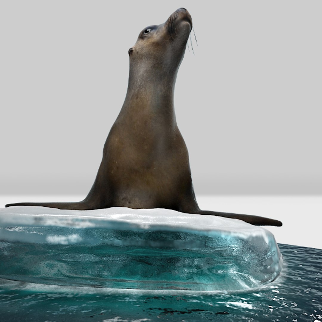 3d Max Seal Scene Ice