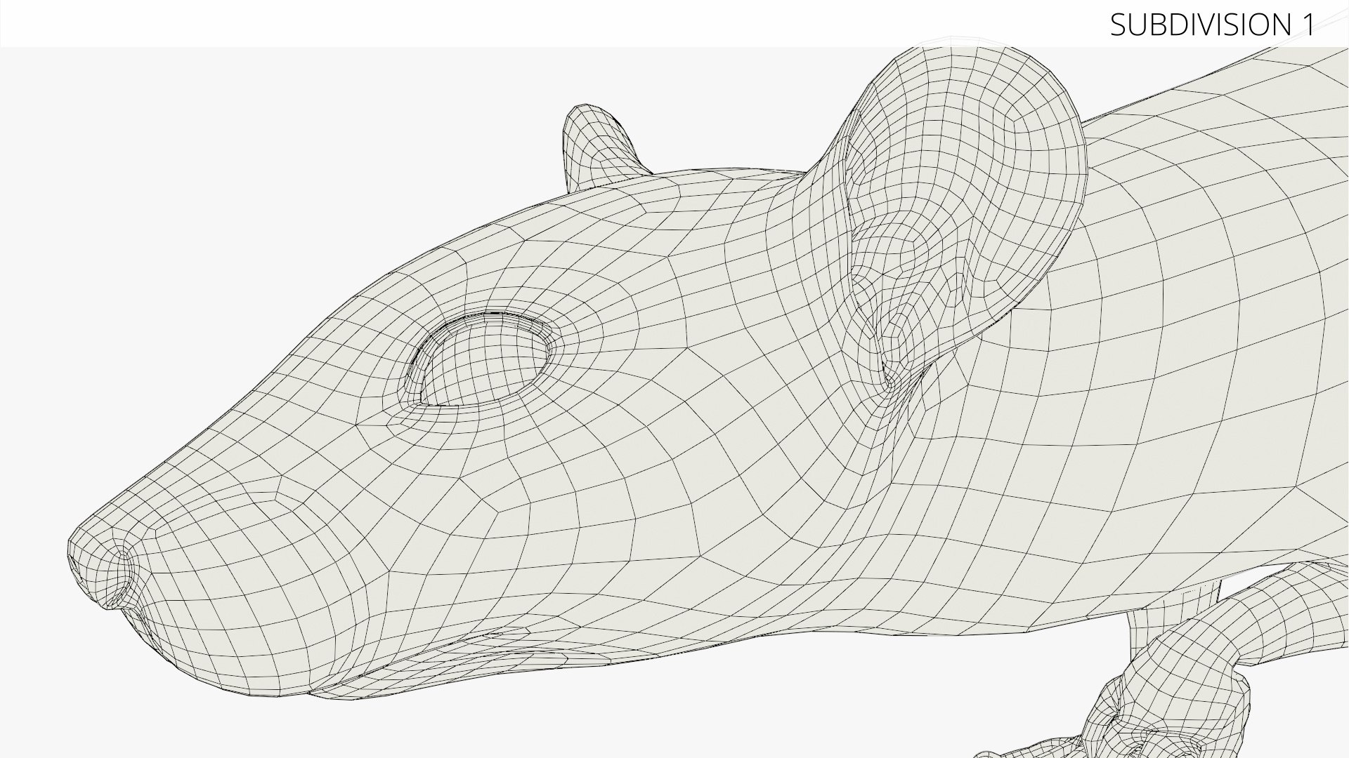 3D White Rat Fur Rigged For Blender Animated Set - TurboSquid 2517173