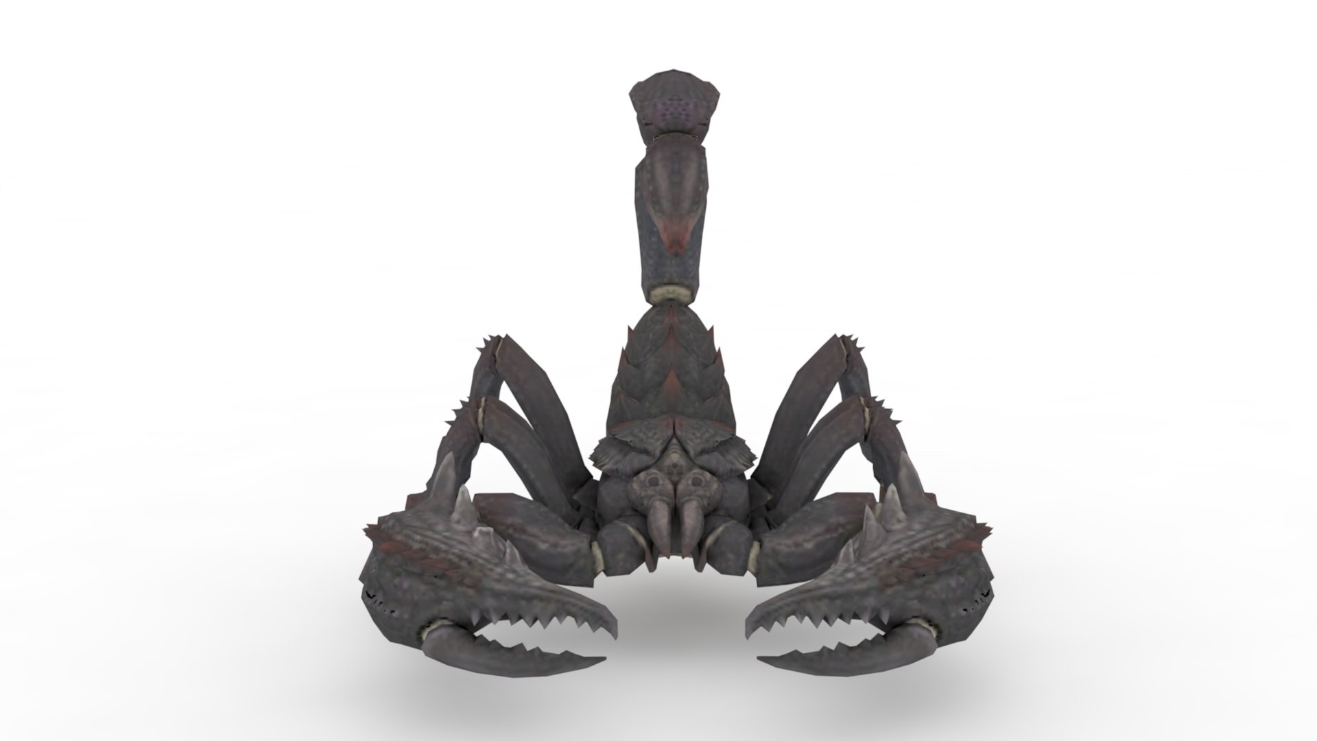 Scorpion 3D - TurboSquid 2051479