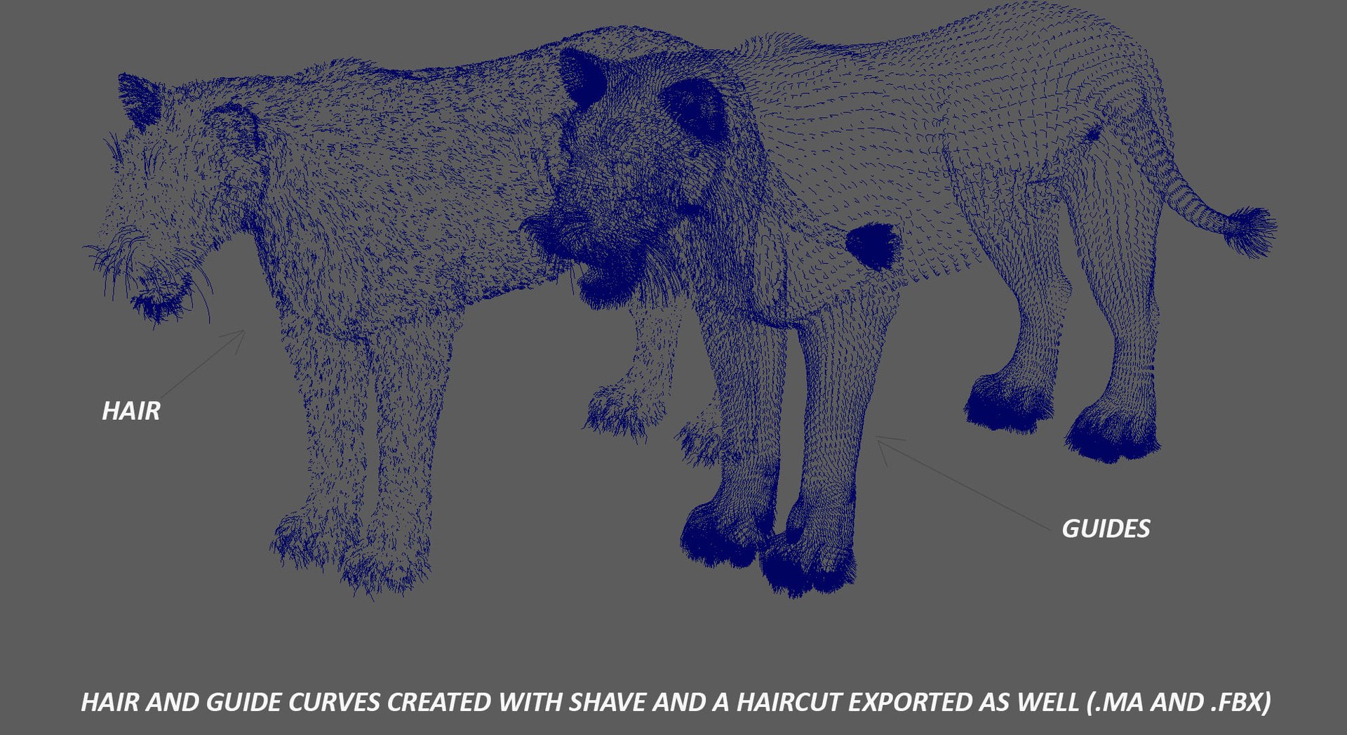 Lioness 3 Fur Animation 3D Model - TurboSquid 1466666