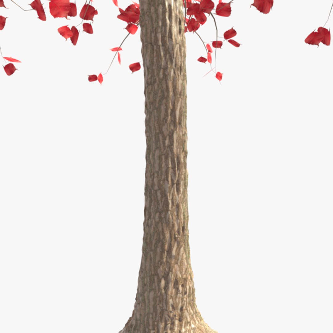 3D Tree Autumn - TurboSquid 1356203