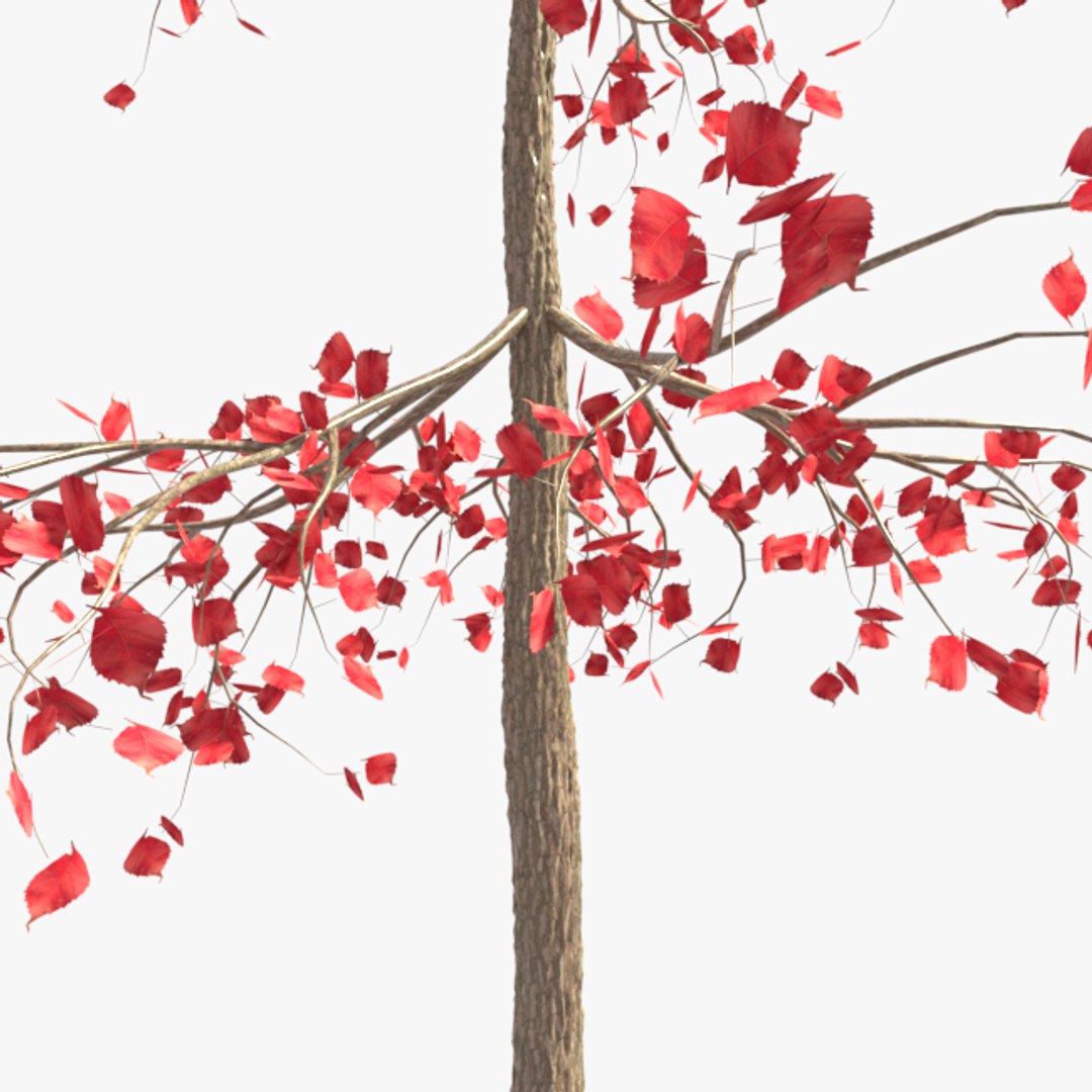 3D Tree Autumn - TurboSquid 1356203
