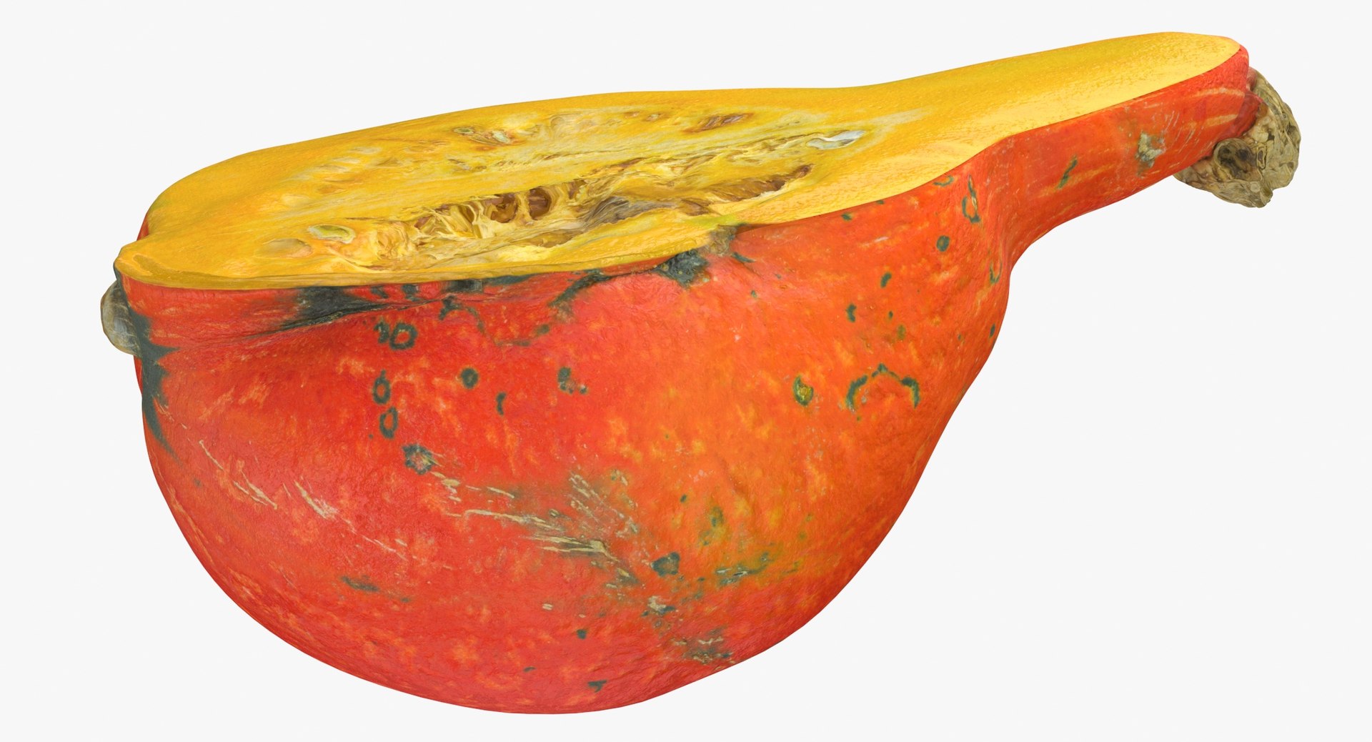 Red Kuri Squash Hokkaido 01 Half 3D model - TurboSquid 1978942