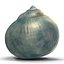 3d Seashell 2