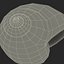 3d Seashell 2