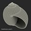 3d Seashell 2