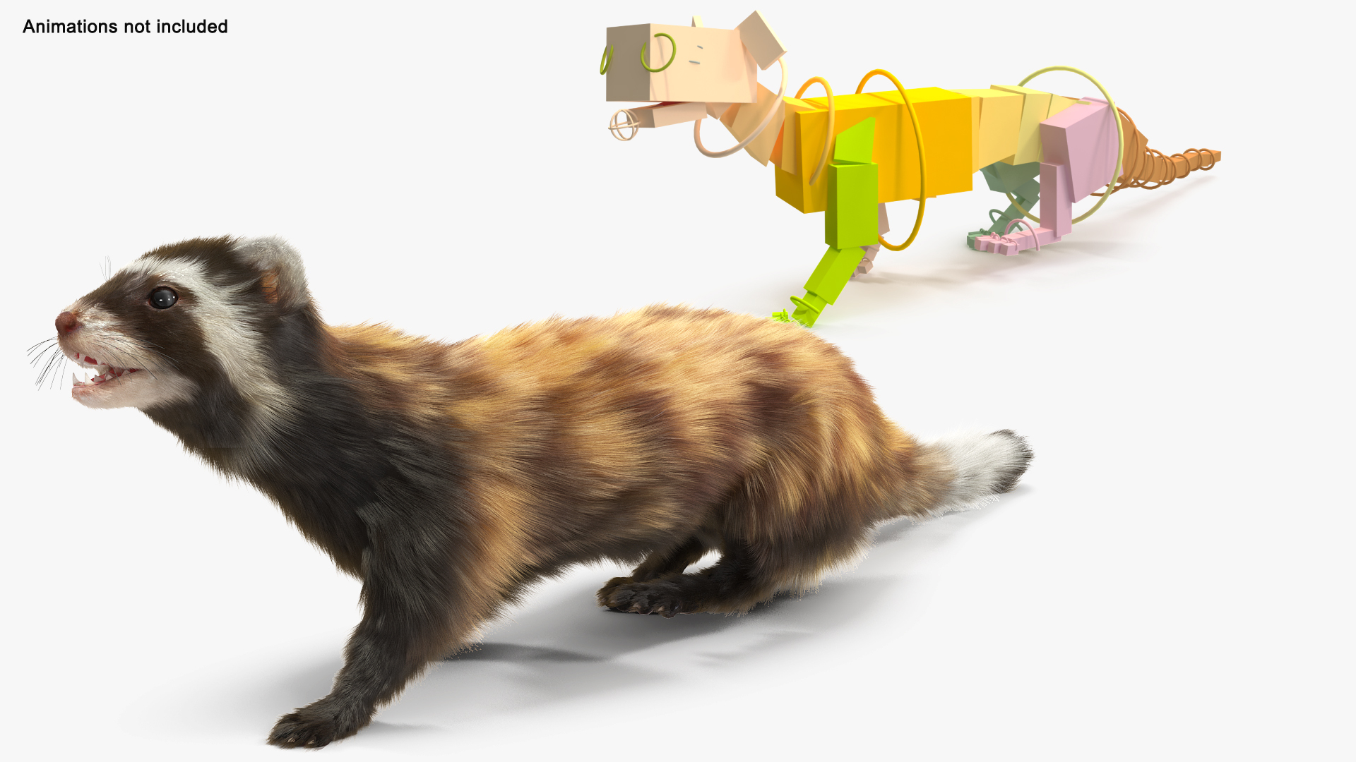 3D Vormela Peregusna Fur Rigged Model - TurboSquid 2207042