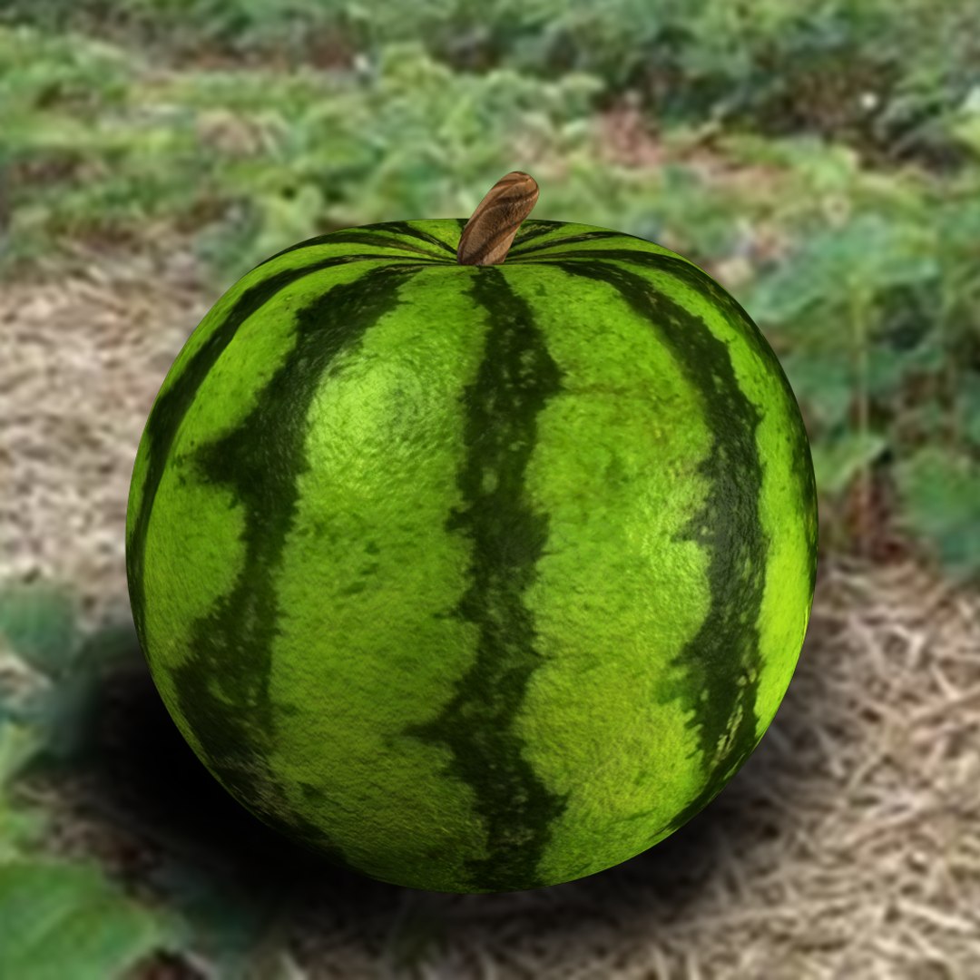 3d Watermelon Realistic