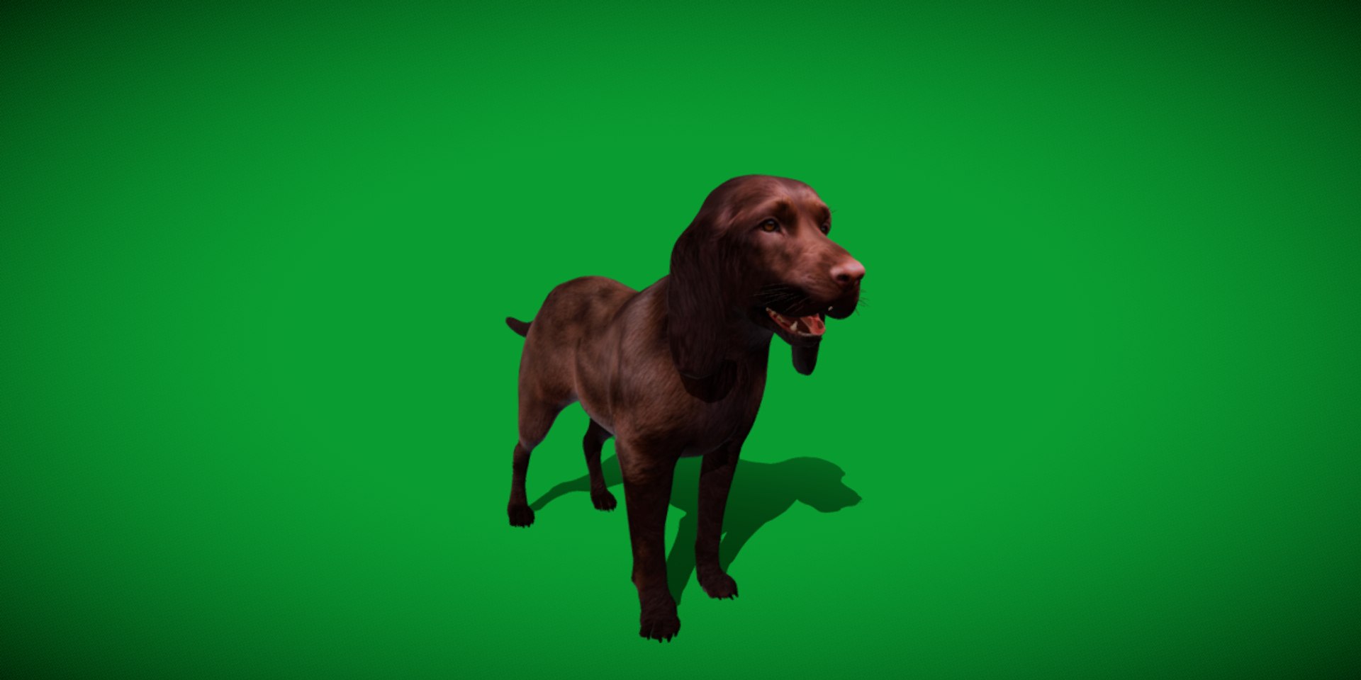 Field Spaniel Dog 3D Model - TurboSquid 2421780
