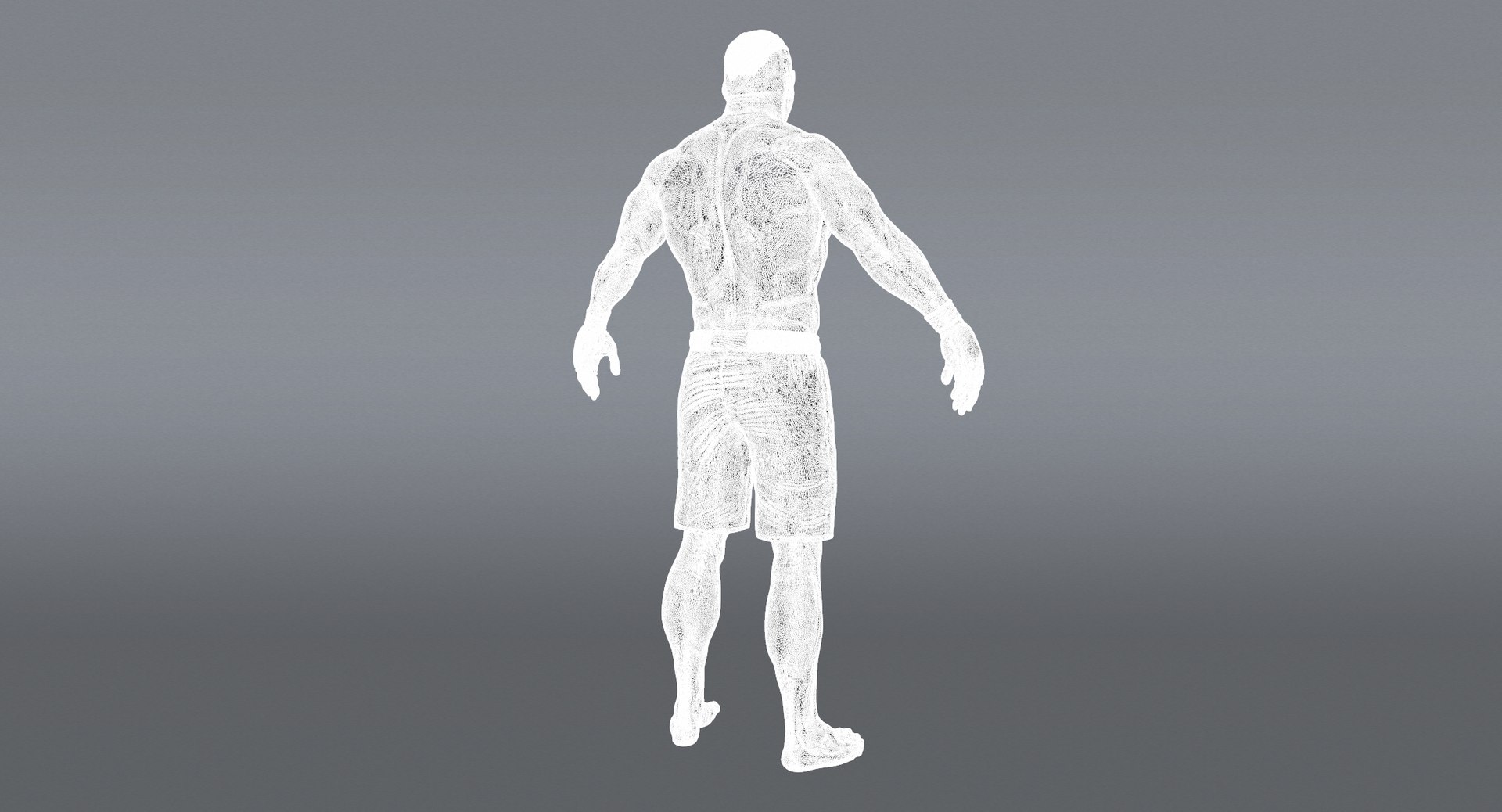 Ufc Boxer 3d Model