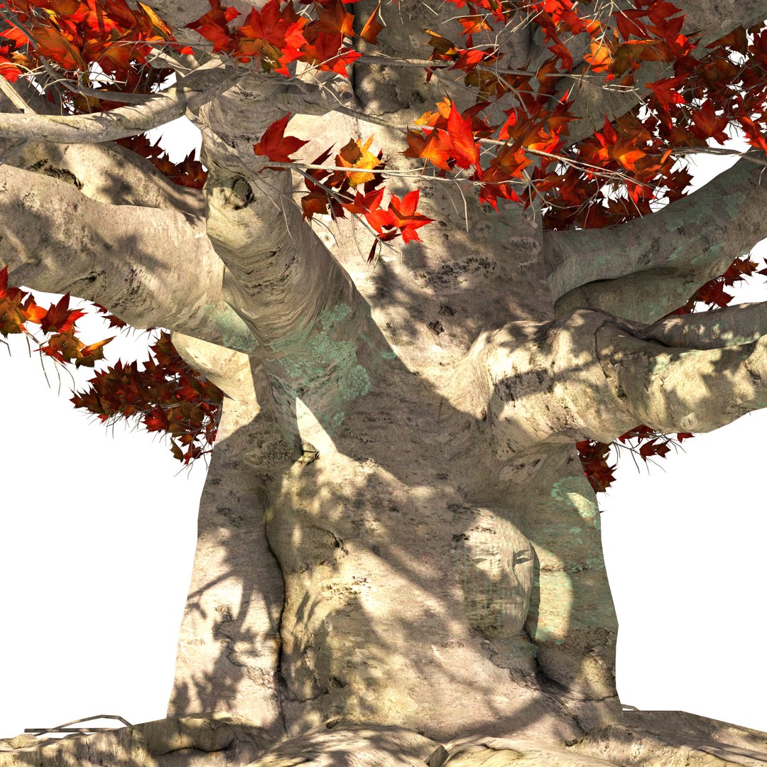 3D Weirwood Winterfell Tree - TurboSquid 1974237