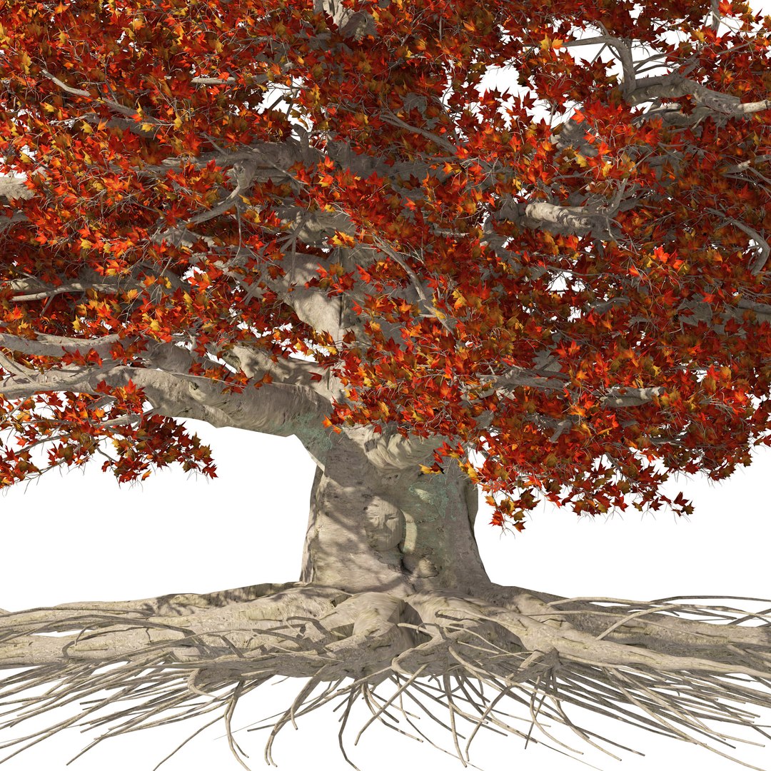 3D Weirwood Winterfell Tree - TurboSquid 1974237