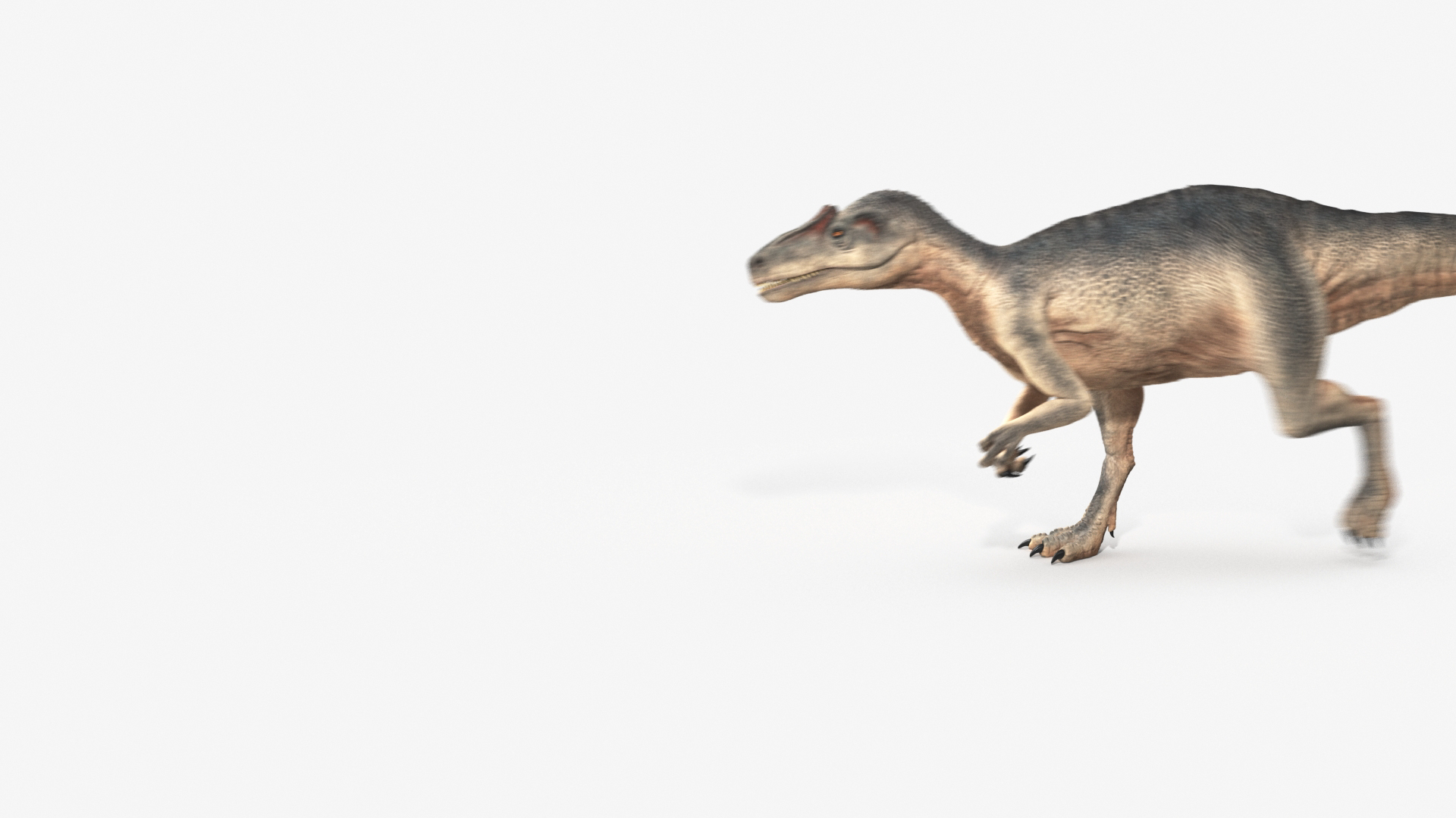 Allosaurus - Rigged And Animated 3D Model - TurboSquid 1761860