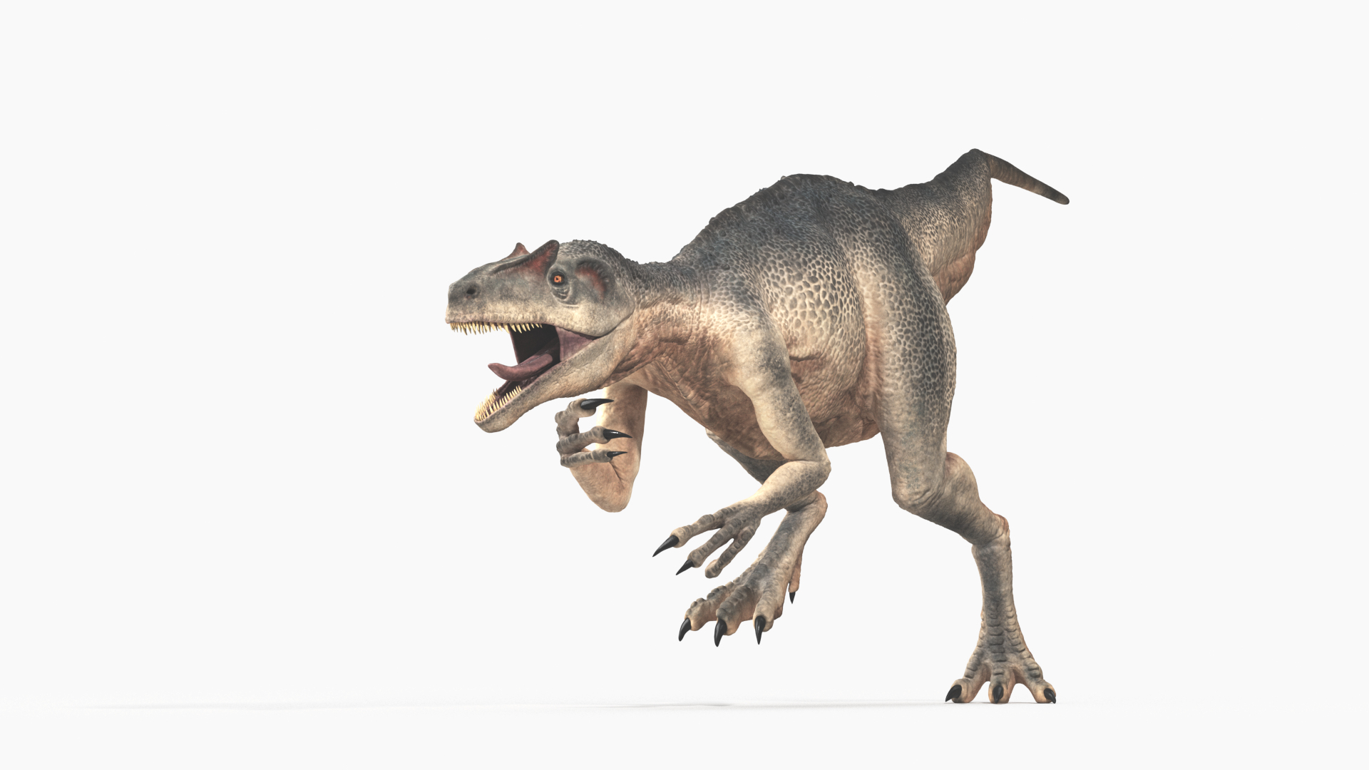 Allosaurus - Rigged and Animated 3D model - TurboSquid 1761860