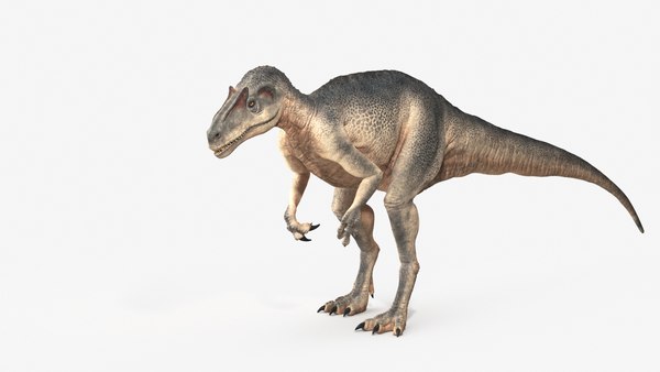 Allosaurus - Rigged and Animated 3D model - TurboSquid 1761860