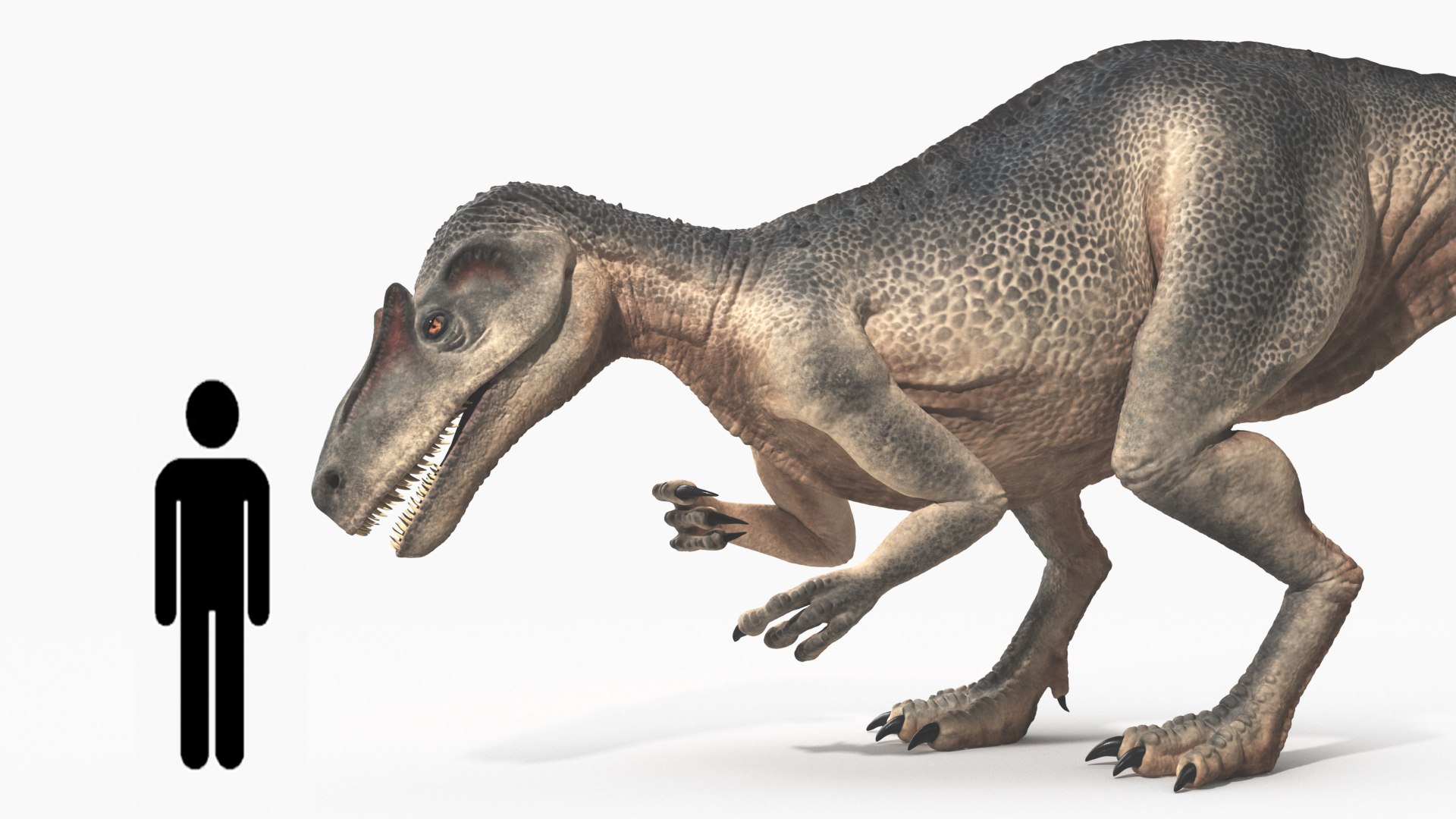 Allosaurus - Rigged And Animated 3D Model - TurboSquid 1761860